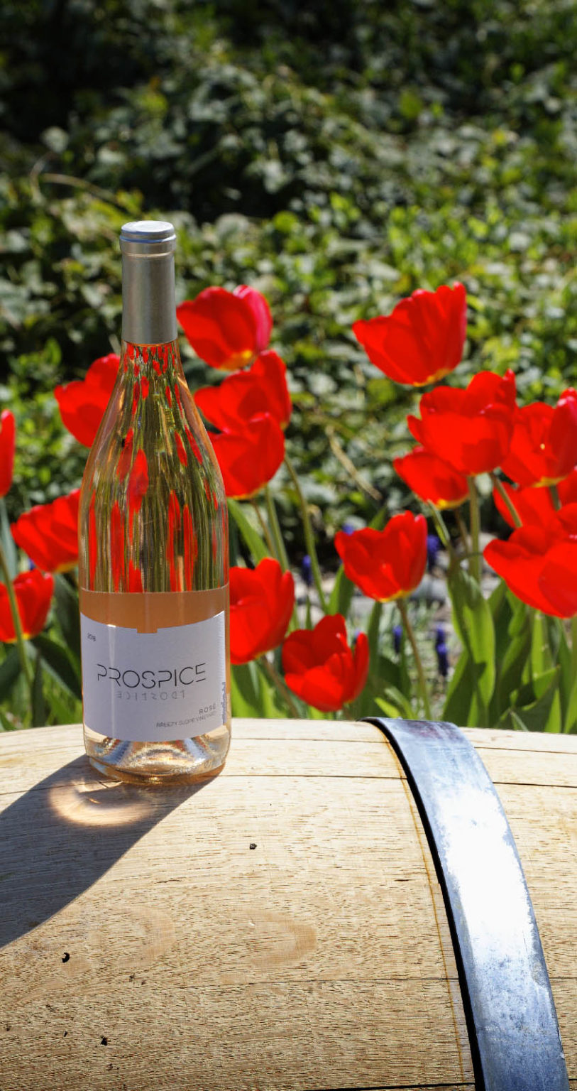 Tasting – Prospice Wines